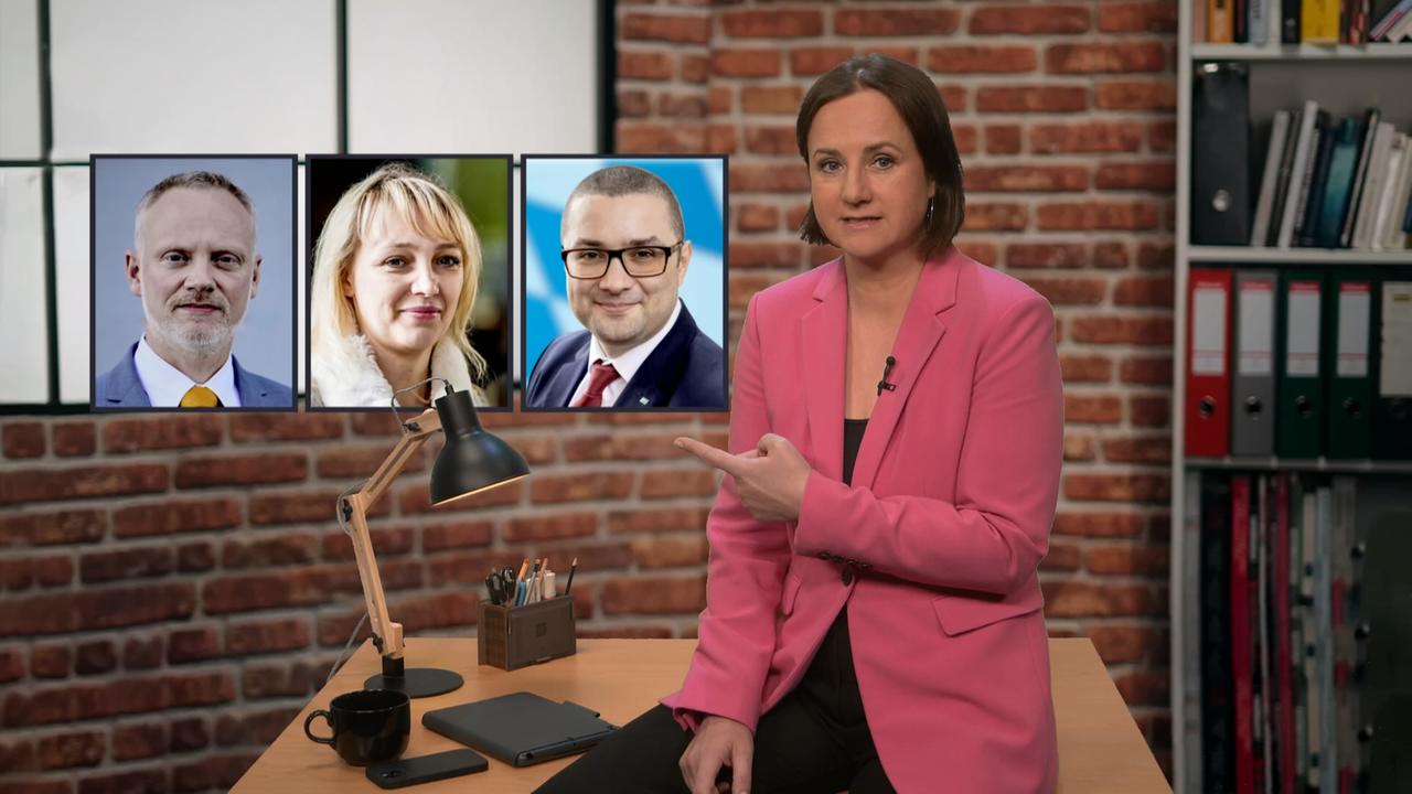 AfD-Abmahnung: "Das ist nicht viel mehr als Parteimarketing"