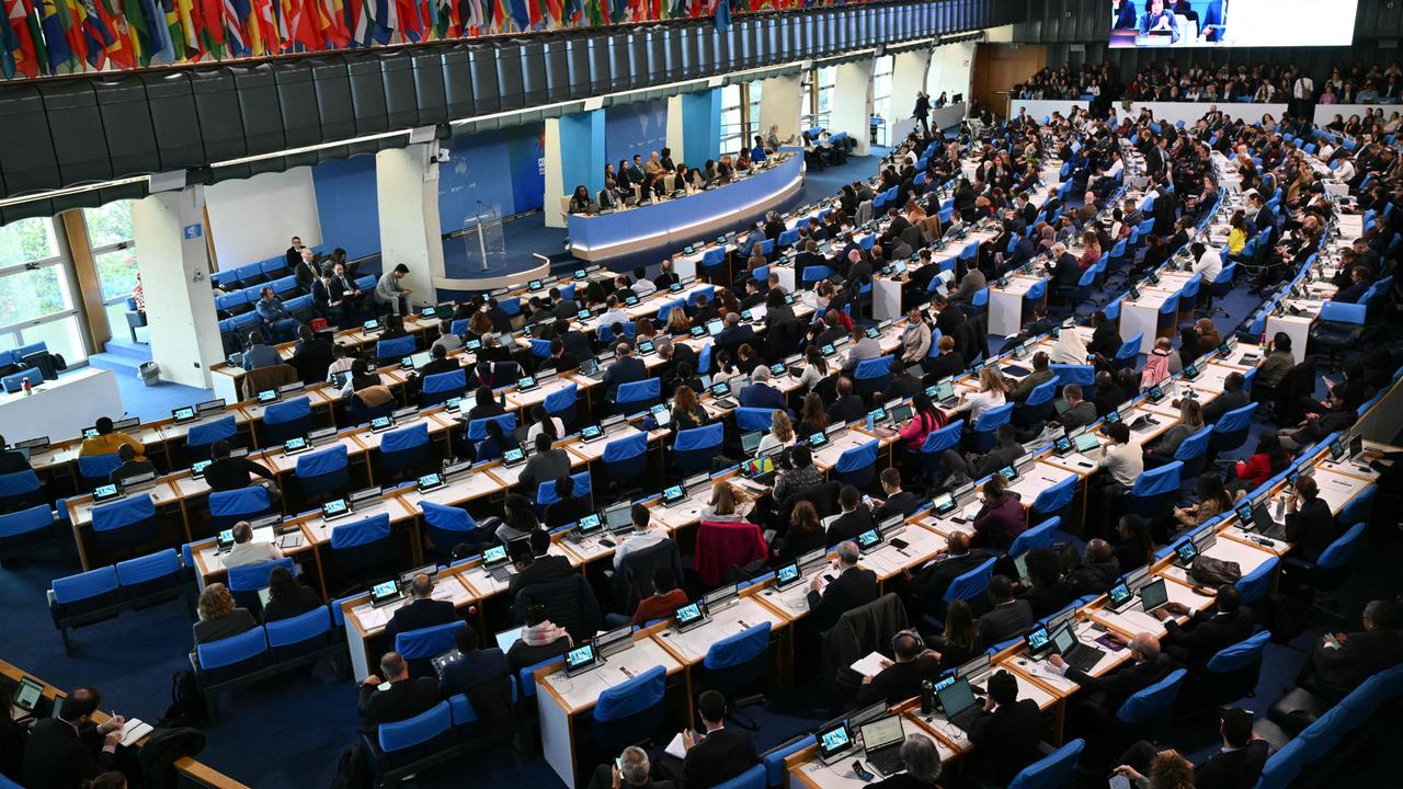 COP16: Positives Signal für Naturschutz und die UN