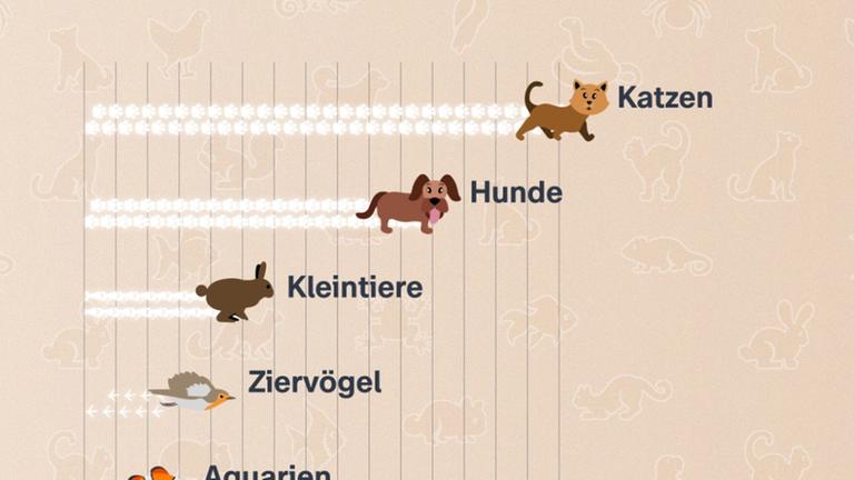 Hund oder Katze – Die beliebtesten Haustiere der Deutschen