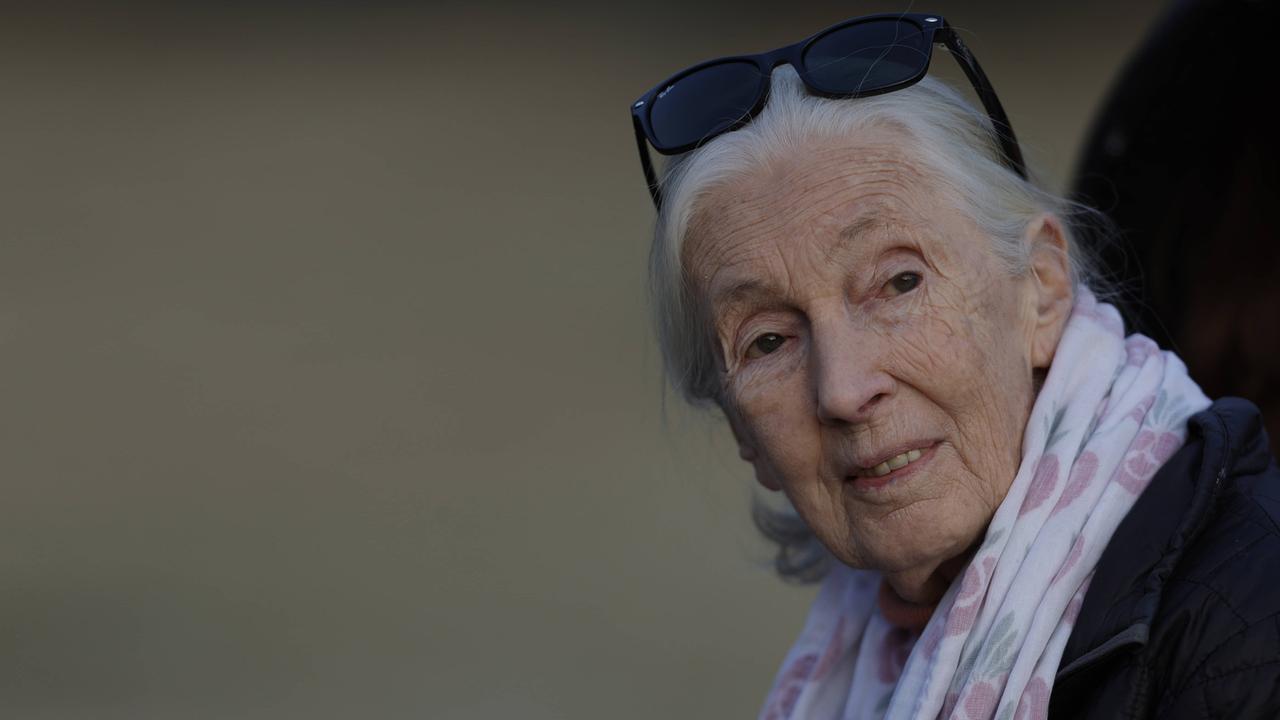 Jane Goodall ist tot - ein Nachruf von Theo Koll