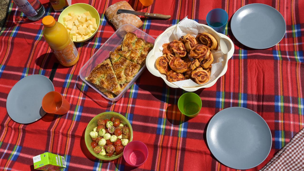 Picknick: Ideen, Rezepte und Tipps