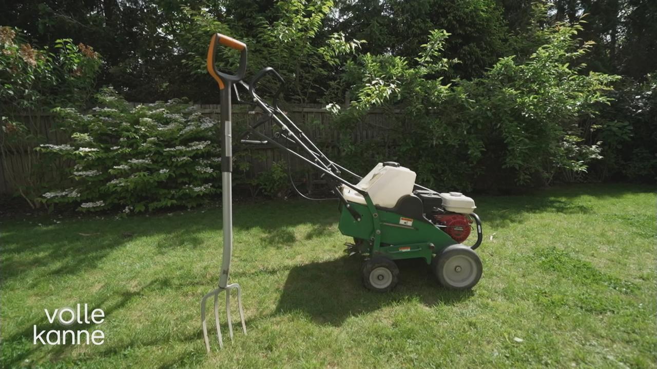 So wird der Rasen wieder fit