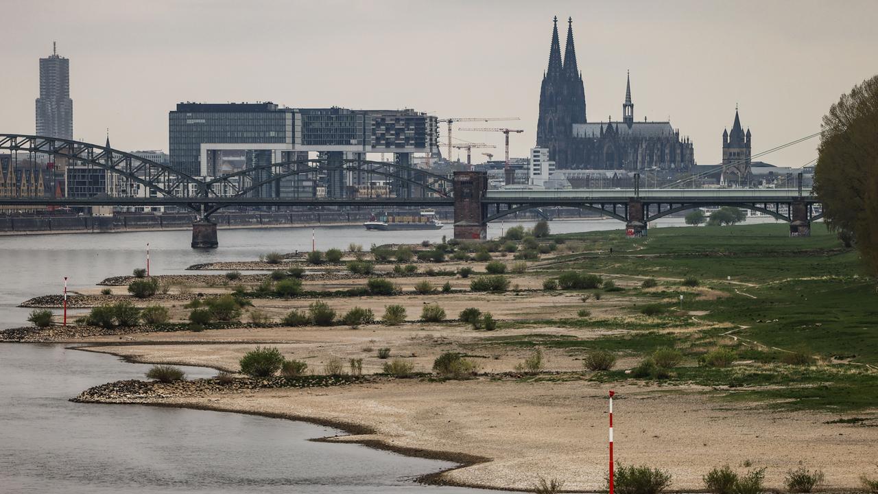 Rheinpegel sinkt: Wieso Niedrigwasser die Wirtschaft bedroht