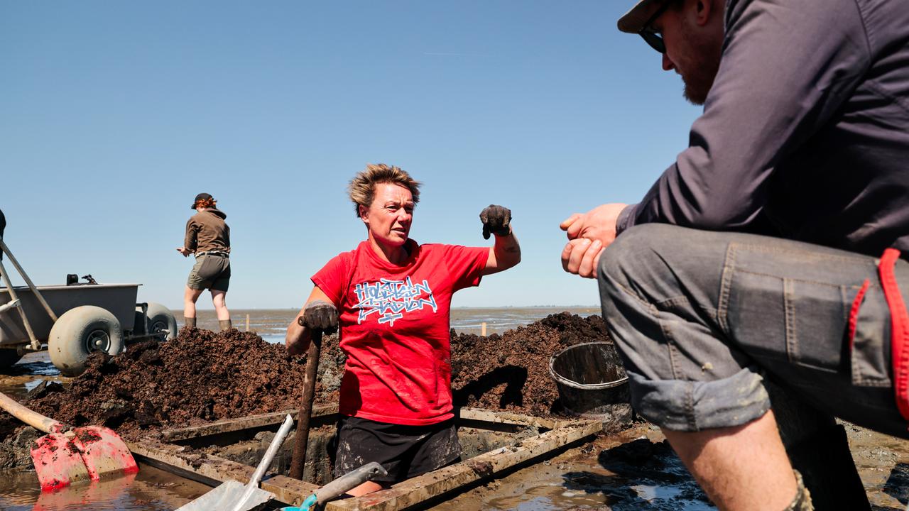 Rungholt: Neue Spuren vom Atlantis der Nordsee