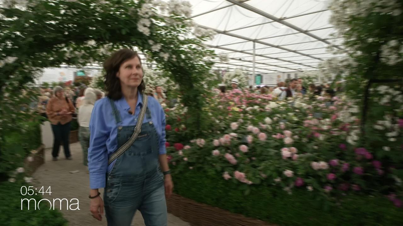 Platz im Garten: Chelsea Flower Show
